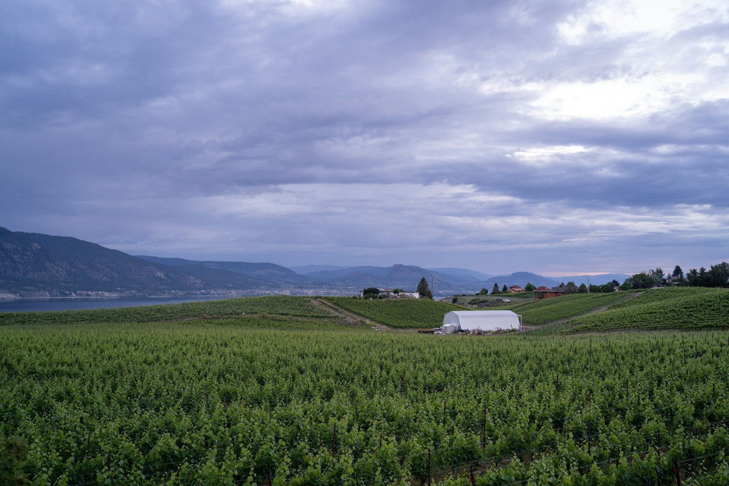 Best BC Wineries & Vineyards to Sample as a Wine Club Member – Wine ...